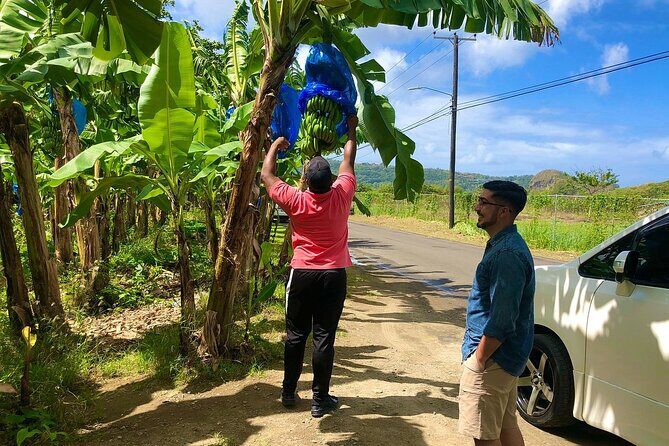 Private Saint Lucia Departure Tour - Who Should Consider This Tour?