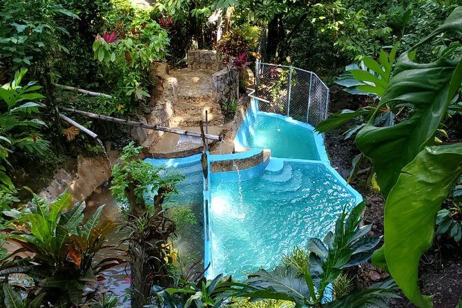 Private Saint Lucia Your Way Customize Tour- LUNCH INCLUDED - Key Points