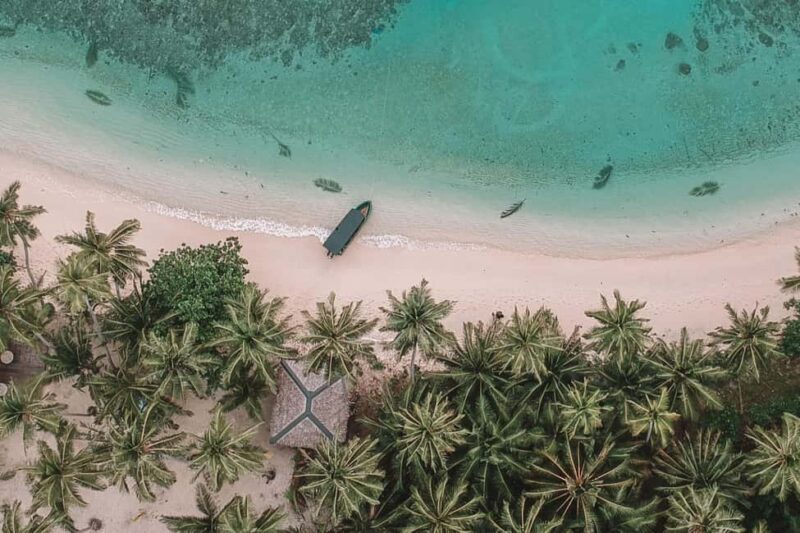 Private: Samaná Whale & Cayo Levantado Luxury Day Trip - A Detailed Look at the Tour Experience