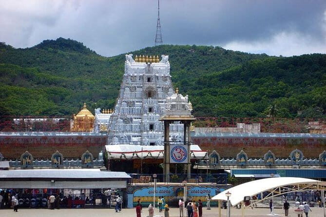 Private Same-Day Excursion from Chennai to Tirupathi by Car - Why Choose This Tour?