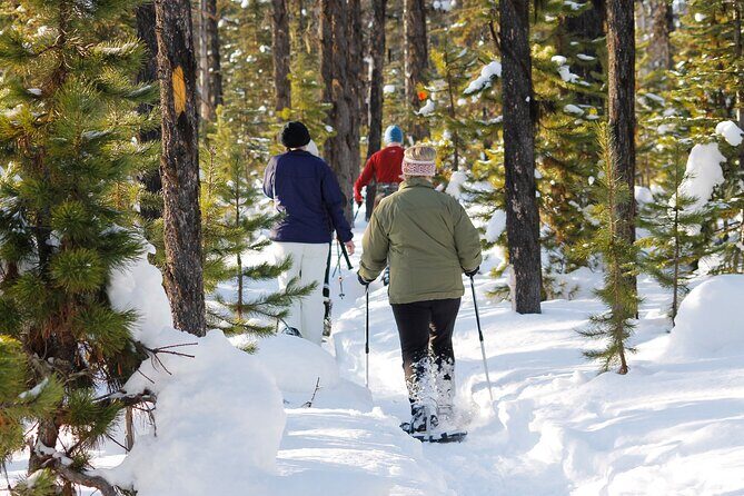 Private, Same Day Round Trip Shuttle Vancouver to Whistler - The Sum Up: Who Should Book This Shuttle?