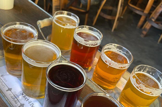 Private San Diego Beer Tasting Tour - Authentic Reviews and What They Reveal