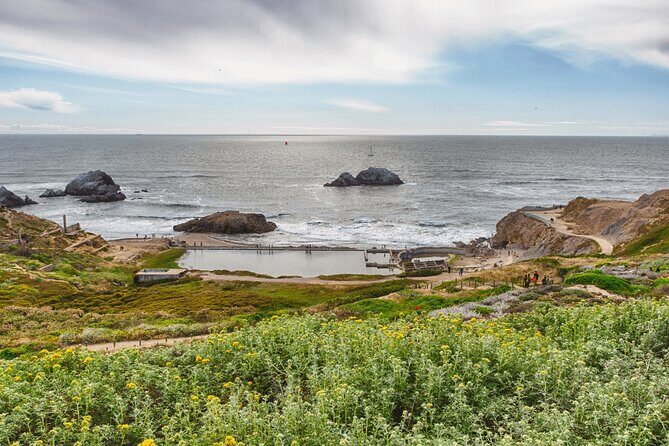 Private San Francisco City Tour and Muir Woods with Sausalito - Final Thoughts