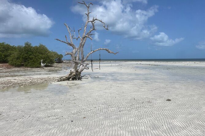 Private Sandbar Adventure in Key West Backcountry - Why Our Readers Will Love This Tour