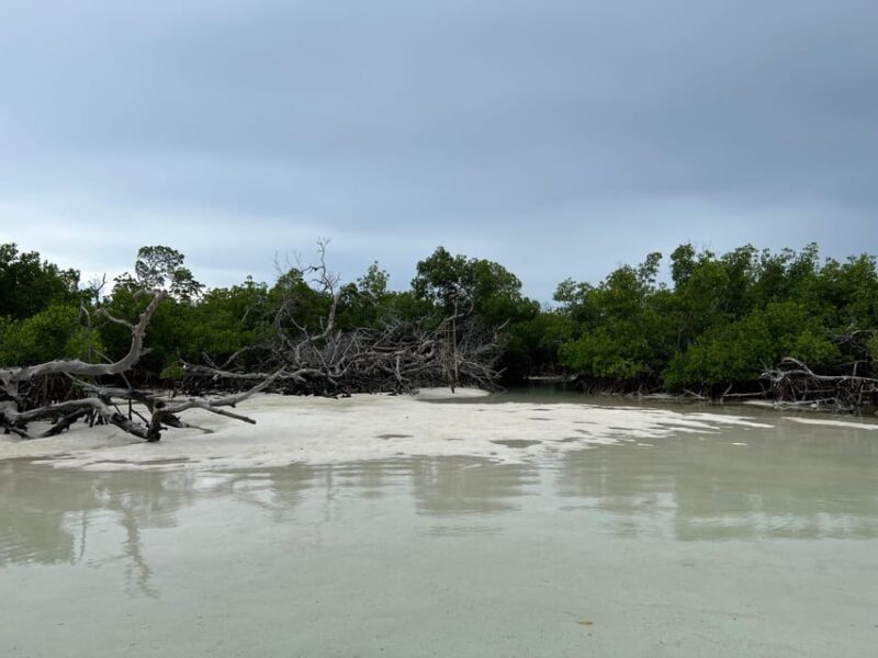 Private Sandbar Adventure in the Key West Backcountry - Practical Details That Matter