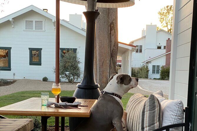 Private Santa Ynez Valley Wine Tasting Tour for up to 4 guests - The Experience’s Value