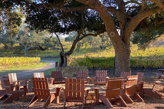 Private Santa Ynez Valley Wine Tasting Tour for up to 4 guests - The Sum Up