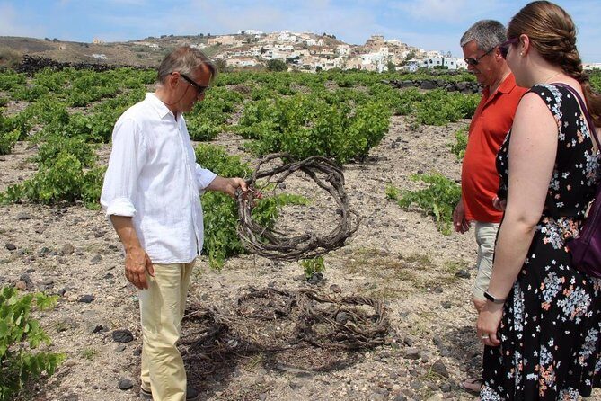 Private Santorini Wine Adventure in 3 Wineries with 12 Tastings - Exploring the Itinerary in Detail