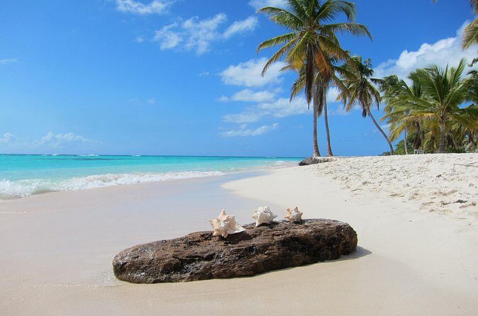 Private Saona Island Catamaran Tour from Punta Cana - Dining and Relaxing on Saona Island