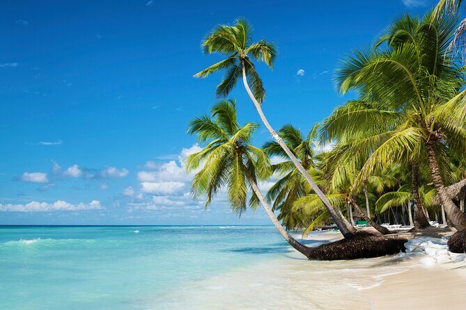 Private Saona Island Catamaran Tour from Punta Cana - Practical Tips for Booking and Enjoying the Tour