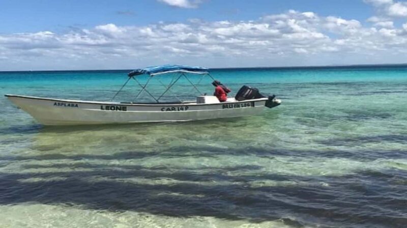 Private: Saona Island Day Trip with Lunch & Cruise - Real Traveler Insights