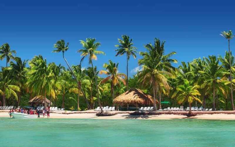 Private: Saona Island Full-Day Escape with Meals & Beverages - Authentic Experiences and Traveler Feedback