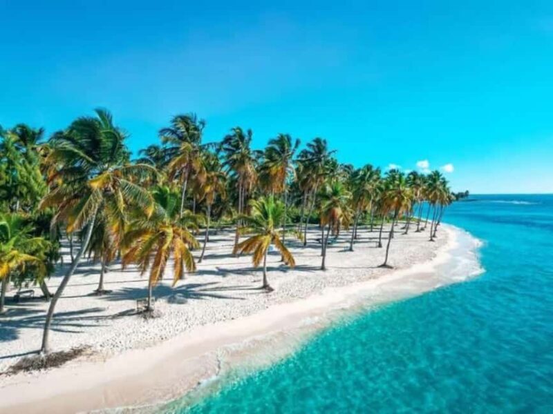 Private Saona Island Including Natural Pool Experience - What Travelers Are Saying