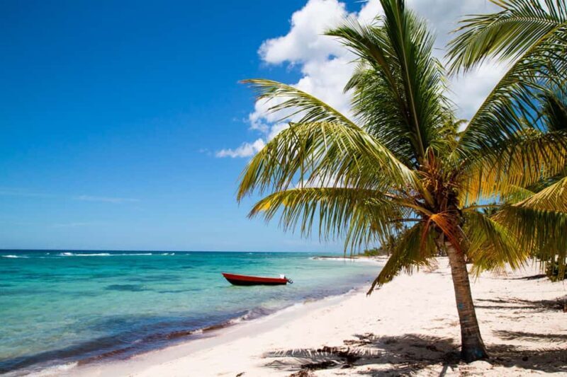 Private: Saona Island Premium & Mano Juan Day Escape - A Thrilling Start: Speedboat Adventure & Scenic Crossings