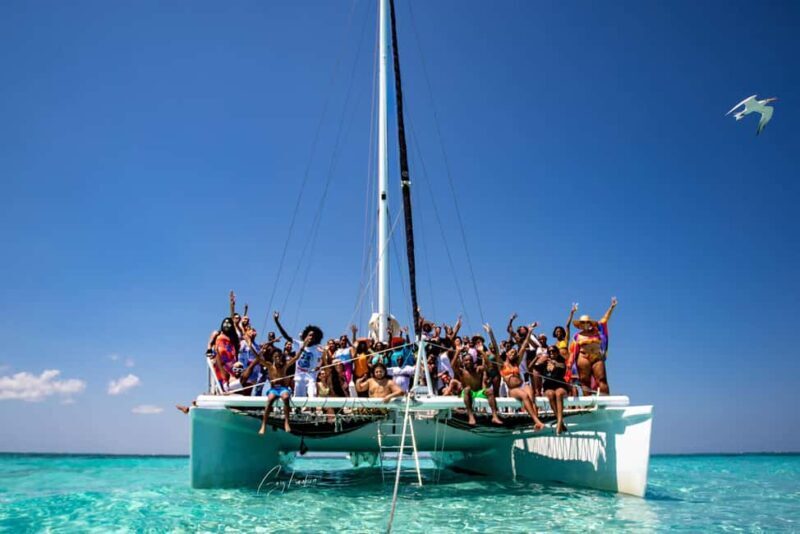 Private: Saona Island Premium & Mano Juan Day Escape - Cruising Past Mangroves: A Lesson in Ecology