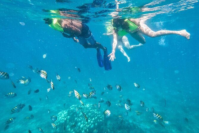 Private Saône Island by Luxury Boat - A closer look at what this tour offers