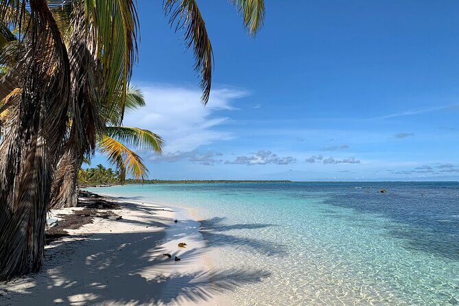 Private Saône Vip DE 1 to 8 Pax - Authentic Experiences and Highlights Reported by Travelers