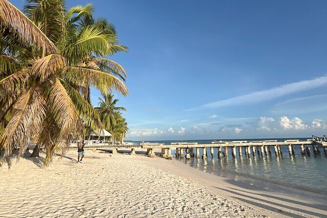 Private Saône Vip DE 1 to 8 Pax - The Sum Up