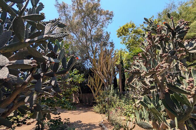 Private Scavenger Hunt in San Juan Capistrano Tour - Final Thoughts: Who’s This Tour Perfect For?