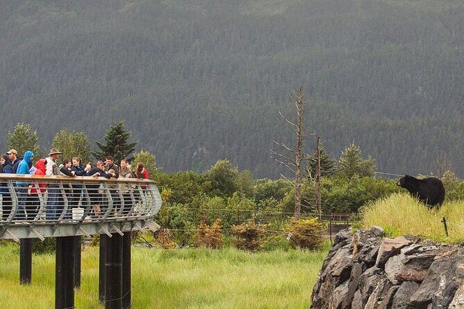 Private Scenic Turnagain Arm Glacier Tour from Anchorage - An Authentic, Flexible Way to See Turnagain Arm