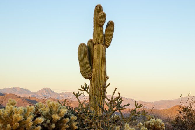 Private Scottsdale Off-Road Jeep Tour - FAQ