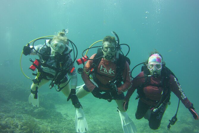 Private SCUBA Dive the reefs of Key Largo for up to 8 certified divers - Who Should Book This Tour?
