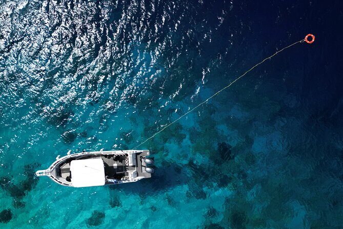 Private Scuba Diving Charter in Bonaire Marine Park - What Makes This Tour Special