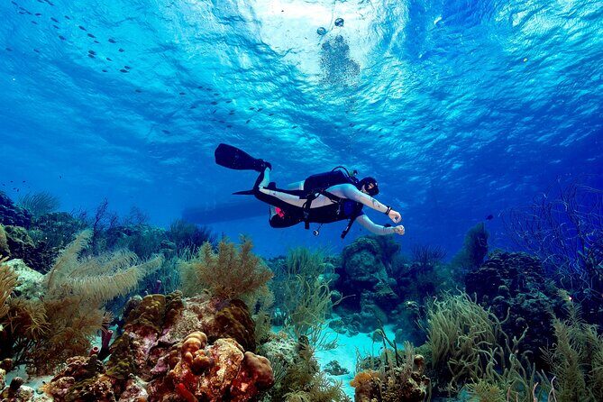 Private Scuba Diving Charter in Bonaire Marine Park - The Value of Everything Included