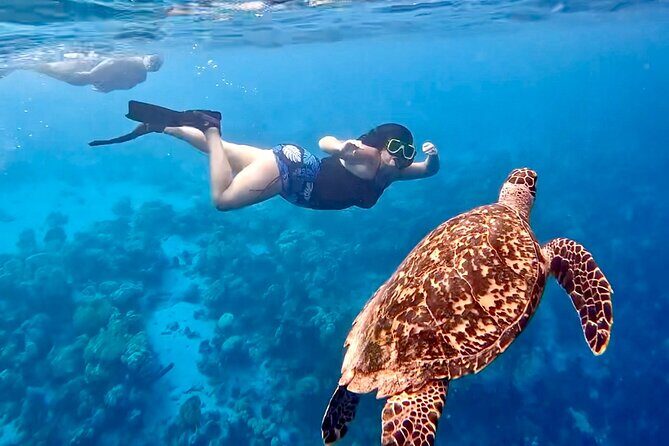 Private Scuba Diving Charter in Bonaire Marine Park - FAQ