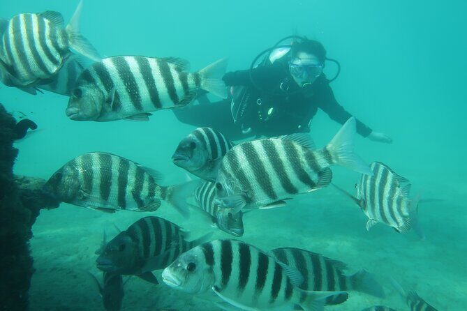 Private Scuba Diving Expert-Led Excursion Training with Tour - Authentic Experiences and Real Feedback
