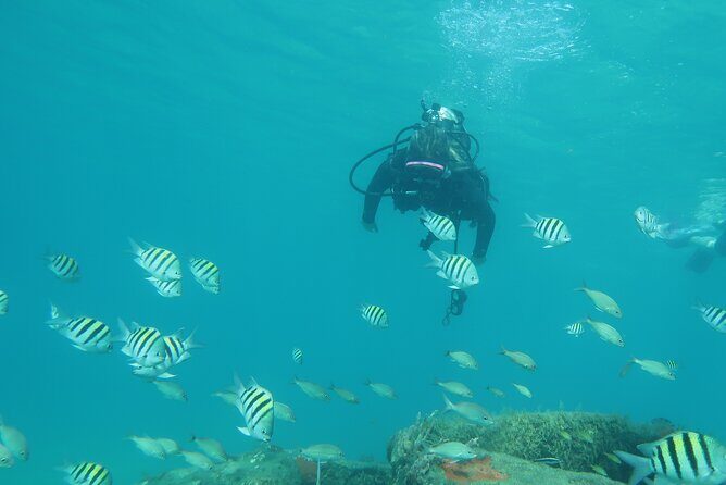 Private Scuba Diving Expert-Led Excursion Training with Tour - Who Will Love This Tour?