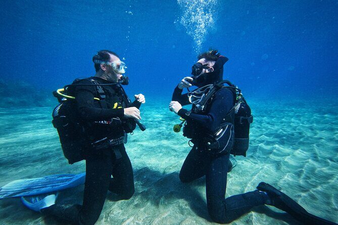 Private Scuba Diving in Tenerife  Certified Instructor & Photos - How the Tour Works