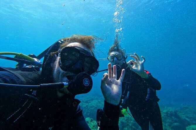 Private Scuba Diving in Tenerife  Certified Instructor & Photos - Authentic Feedback from Participants