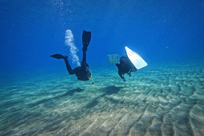 Private Scuba Diving in Tenerife  Certified Instructor & Photos - Who Should Book This?