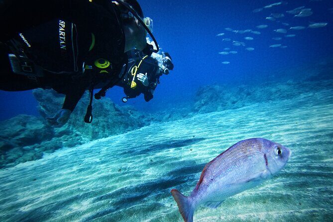 Private Scuba Diving in Tenerife  Certified Instructor & Photos - Final Thoughts