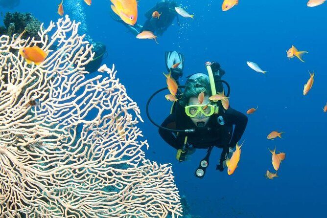 Private Scuba Diving Initiation with Licensed Guide - What to Expect on Your Scuba Initiation