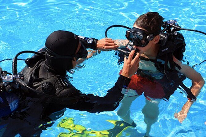 Private Scuba Diving Initiation with Licensed Guide - The Value Proposition