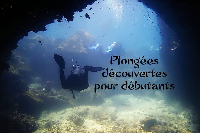 Private Scuba Diving Initiation with Licensed Guide - Who Should Consider This Tour?