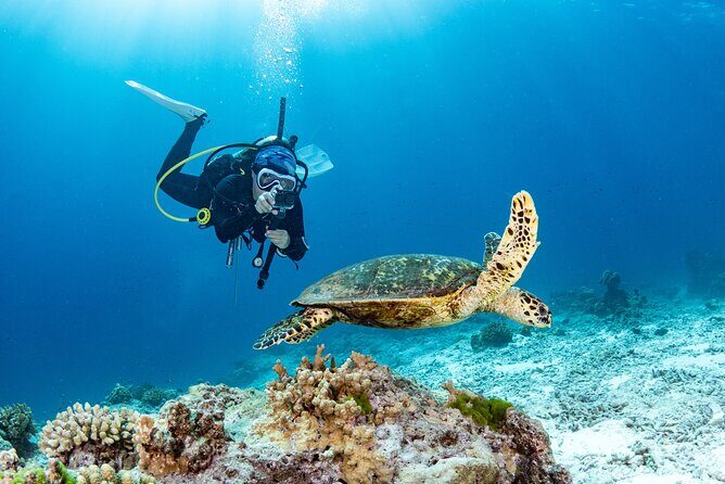 Private Scuba Diving Tour in San Juan - Introduction