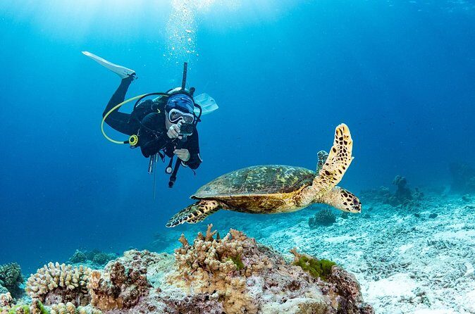 Private Scuba Diving Tour in San Juan - The Practical Details