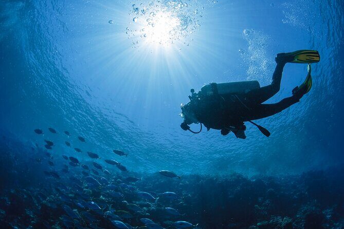 Private Scuba Diving Tour in San Juan - Why This Experience Might Be Right for You