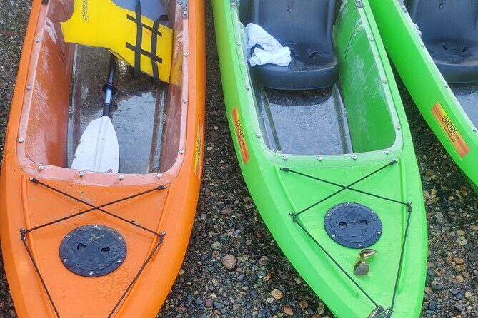 Private Sea Glass Island Kayak Morning + Transfer - Frequently Asked Questions