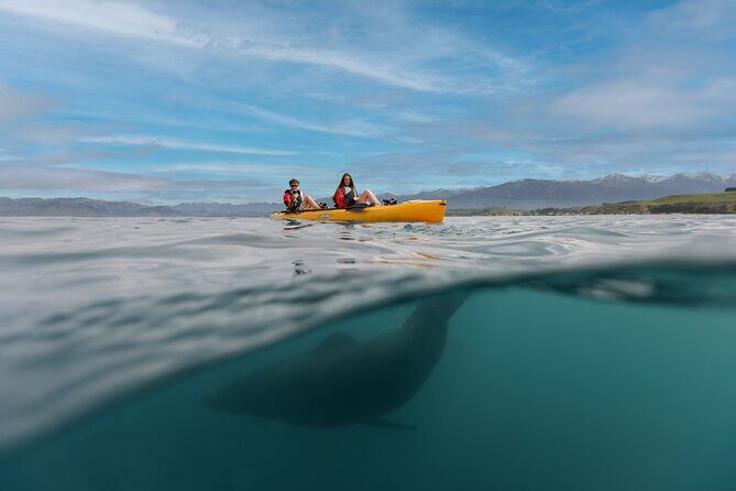 Private Seal Kayaking and Wildlife Tour in Kaikoura - Why Choose the Seal Kayaking & Wildlife Tour?