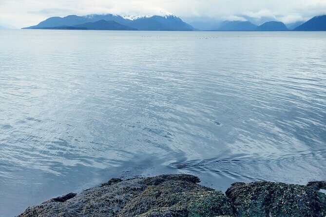 Private Seaplane & Wilderness Hiking Tour to Tongass NF - FAQ