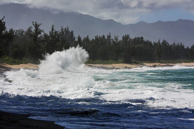 Private Secret Spots Tour on Oahu Hawaii - Who Will Love This Tour?