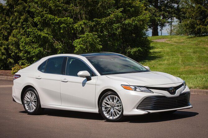 Private Sedan in Punta Cana Airport to Punta Cana Hotels - Key Points