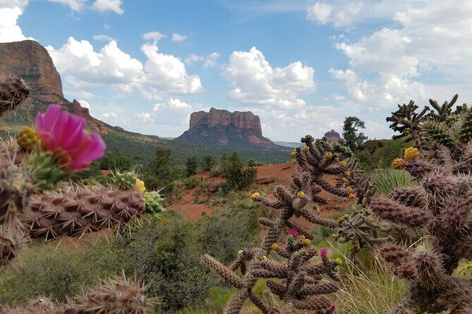 Private Sedona Day Trip from Phoenix or Scottsdale - The Itinerary in Detail
