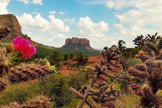 Private Sedona Day Trip from Phoenix: Red Rocks & Instagram Views - The Authentic Experience