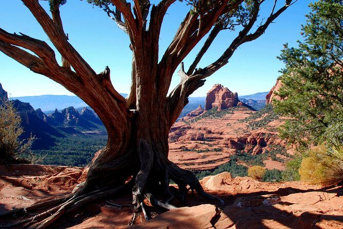 PRIVATE Sedona Jeep Tour 4X4 Climb - Colorado Plateau - An In-Depth Look at the Sedona Jeep Tour Experience