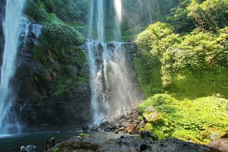 Private Sekumpul Waterfall Hiking Tour - Who Should Consider This Tour?